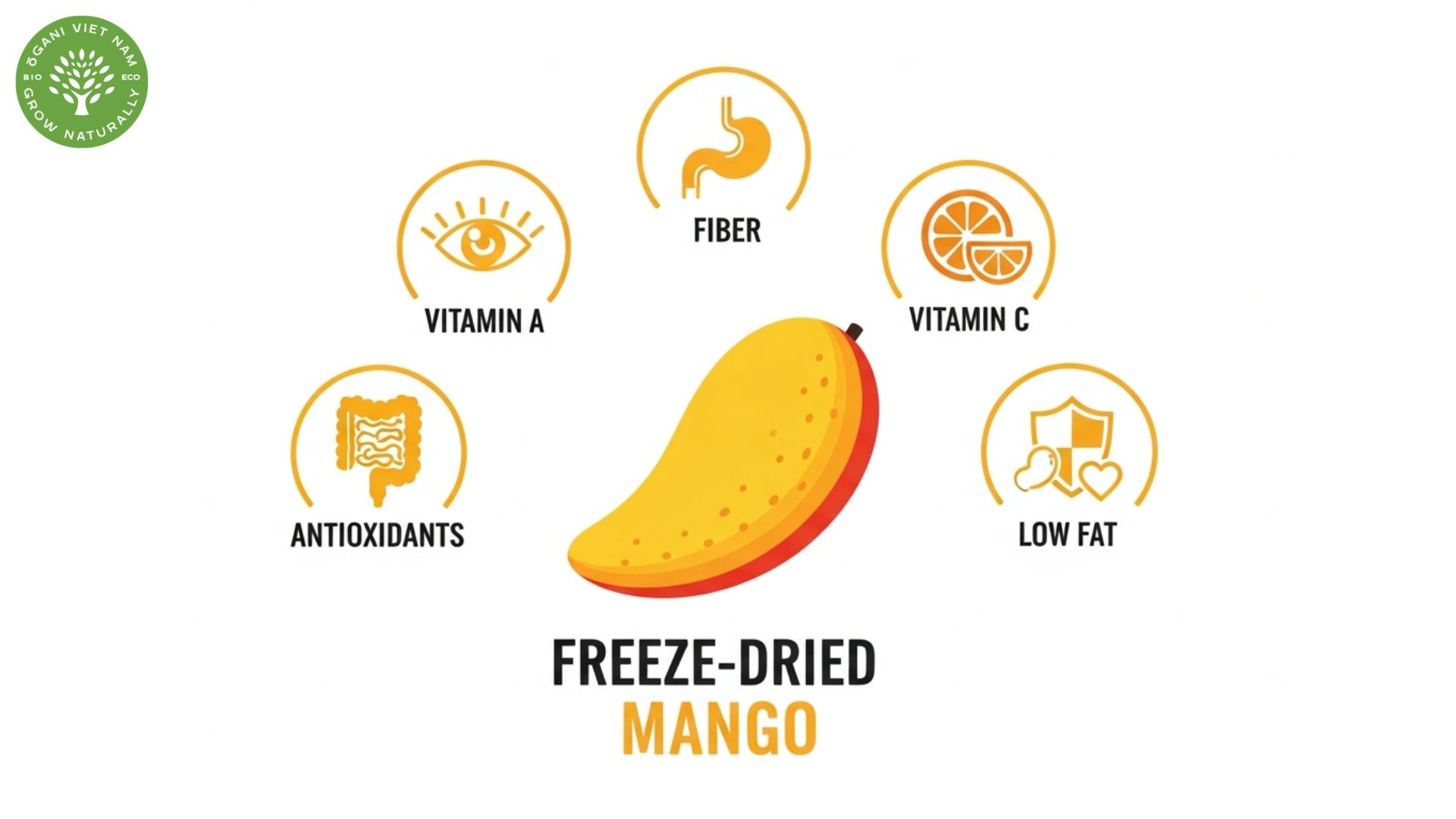 Is Freeze Dried Mango Healthy? Benefits And Facts You Need To Know – Ogani